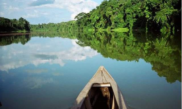Manu National Park